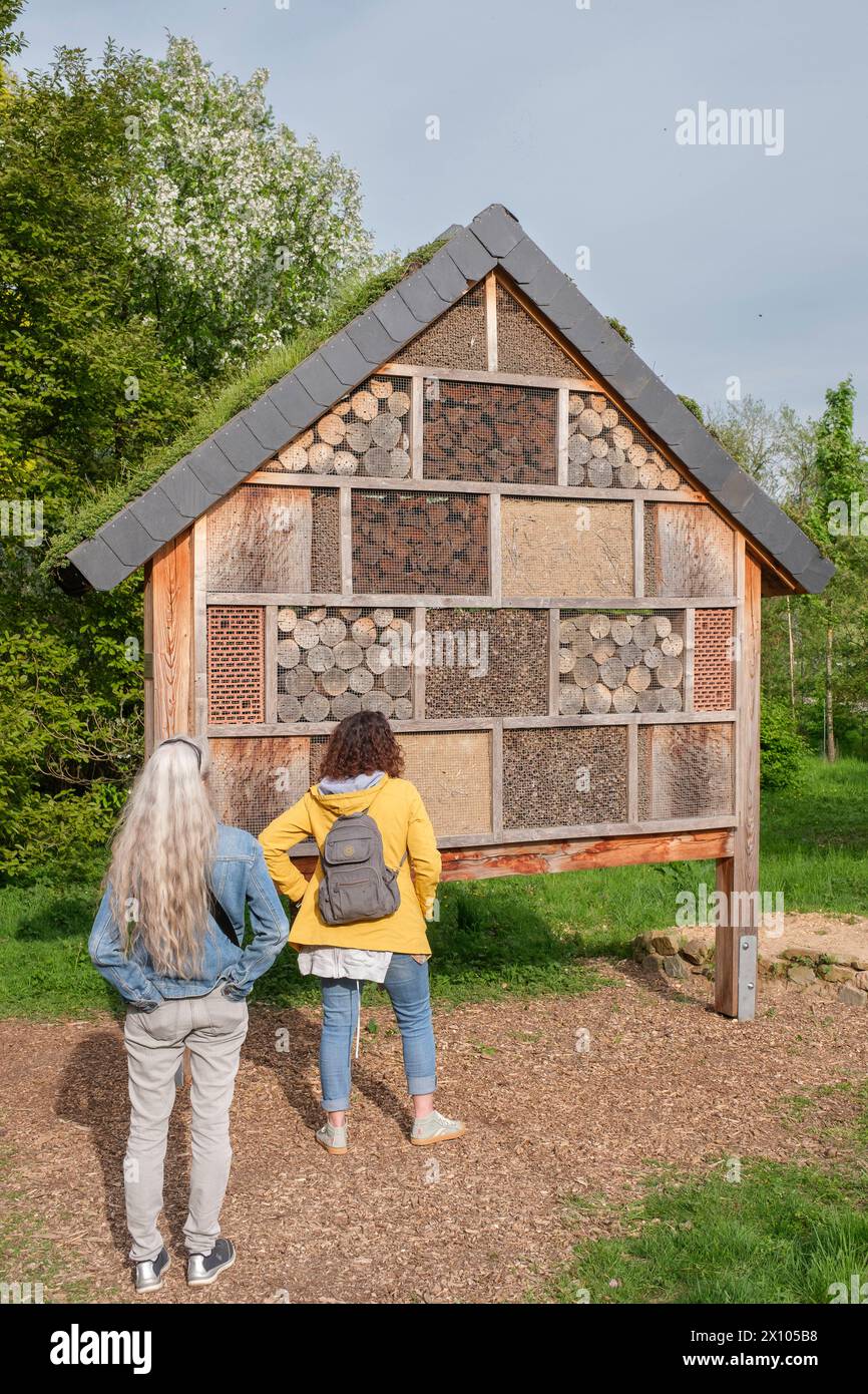 Insekten design hi-res stock photography and images - Alamy