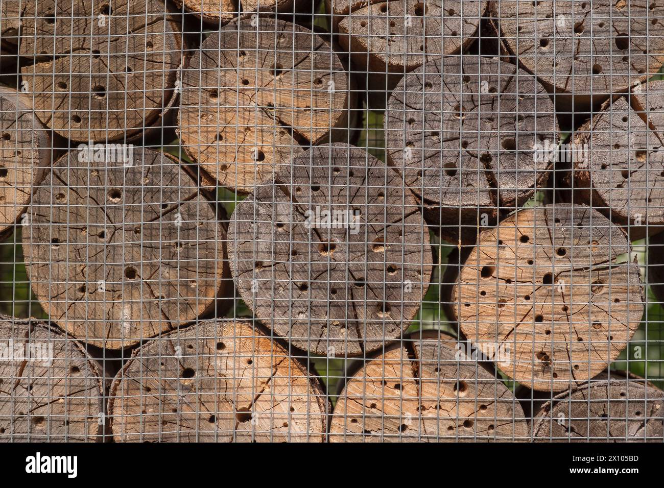 Insekten-Hotel im Forstbotanischen Garten in Köln *** Insect hotel in ...