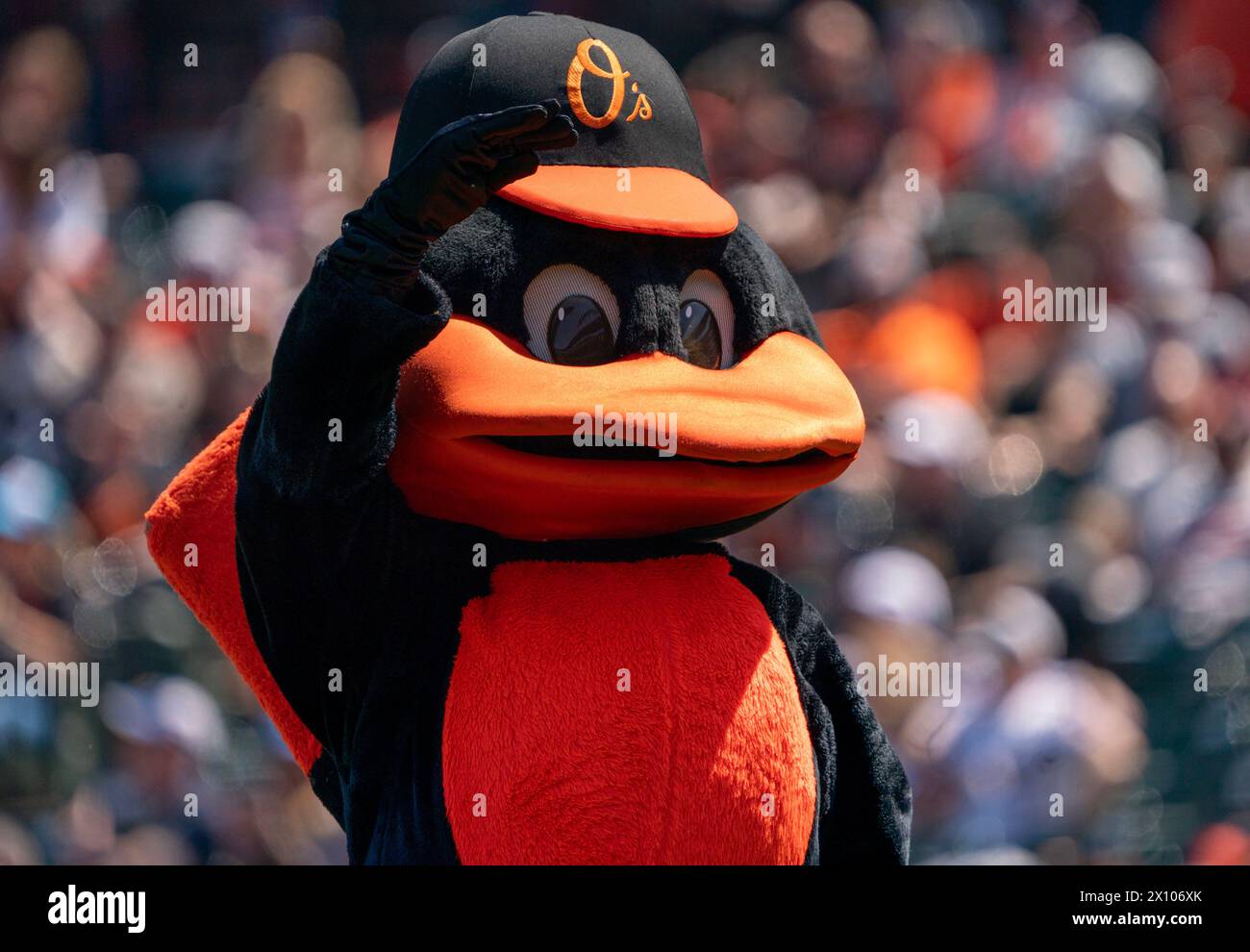 BALTIMORE, MD - APRIL 14: Orioles mascot The Bird during a MLB game ...
