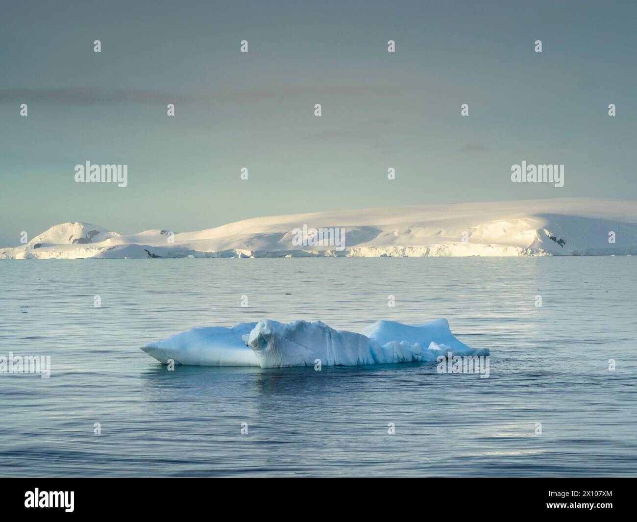 Small iceberg (growler) off Trinity Island, Antarctica Stock Photo - Alamy