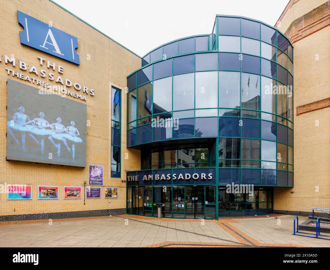 War Horse Ambassadors Cinemas Woking Atg Tickets