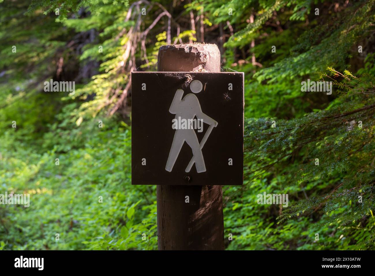 Hiking Trailhead Sign in Mount Rainier National Park Stock Photo - Alamy
