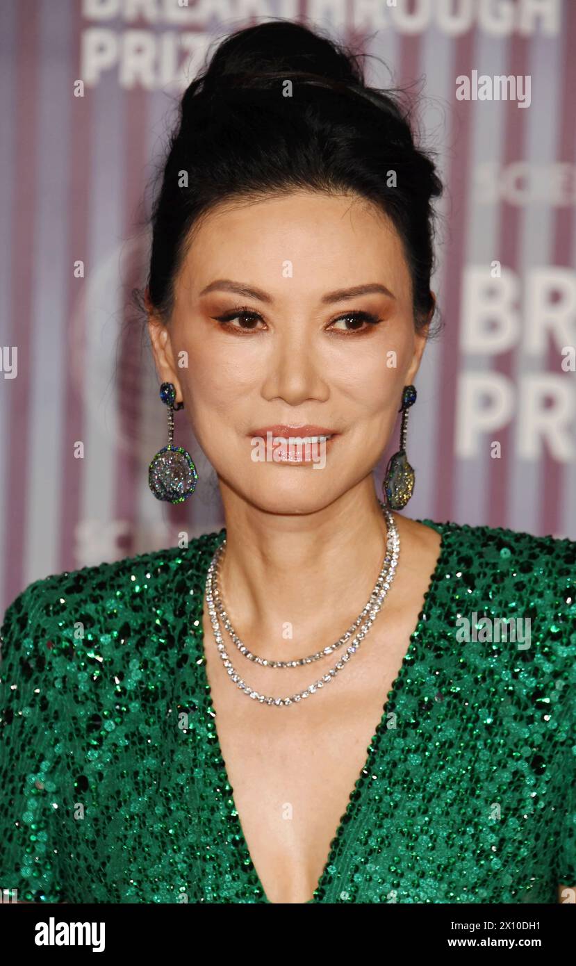 LOS ANGELES, CALIFORNIA - APRIL 13: Wendi Murdoch attends the 10th ...