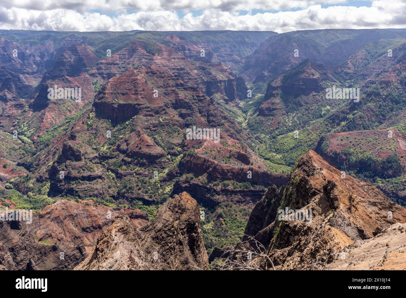 Waimea Canyon is a natural wonder of immense beauty on the Hawaiian ...