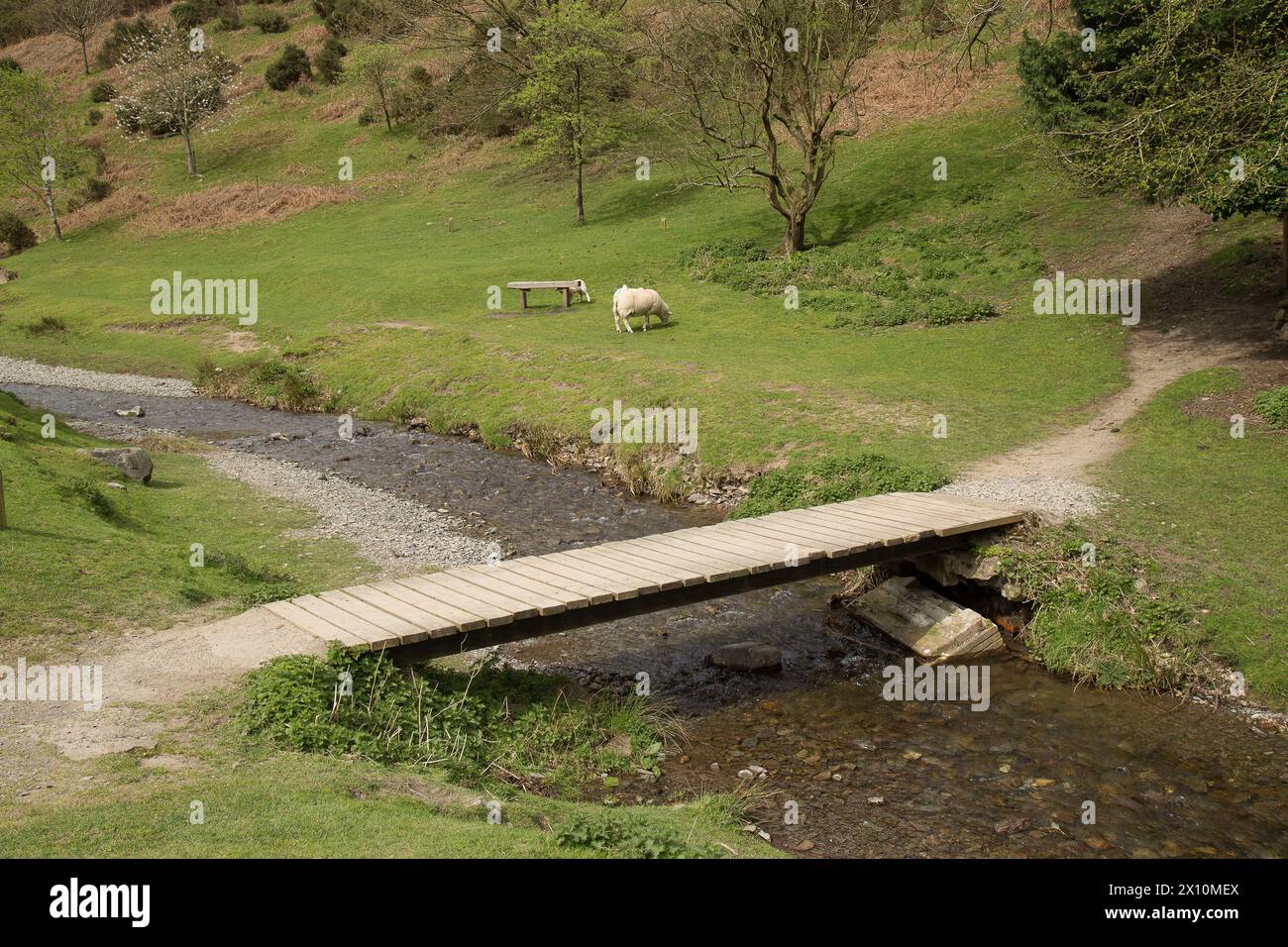 Ashbrooke river hi-res stock photography and images - Alamy