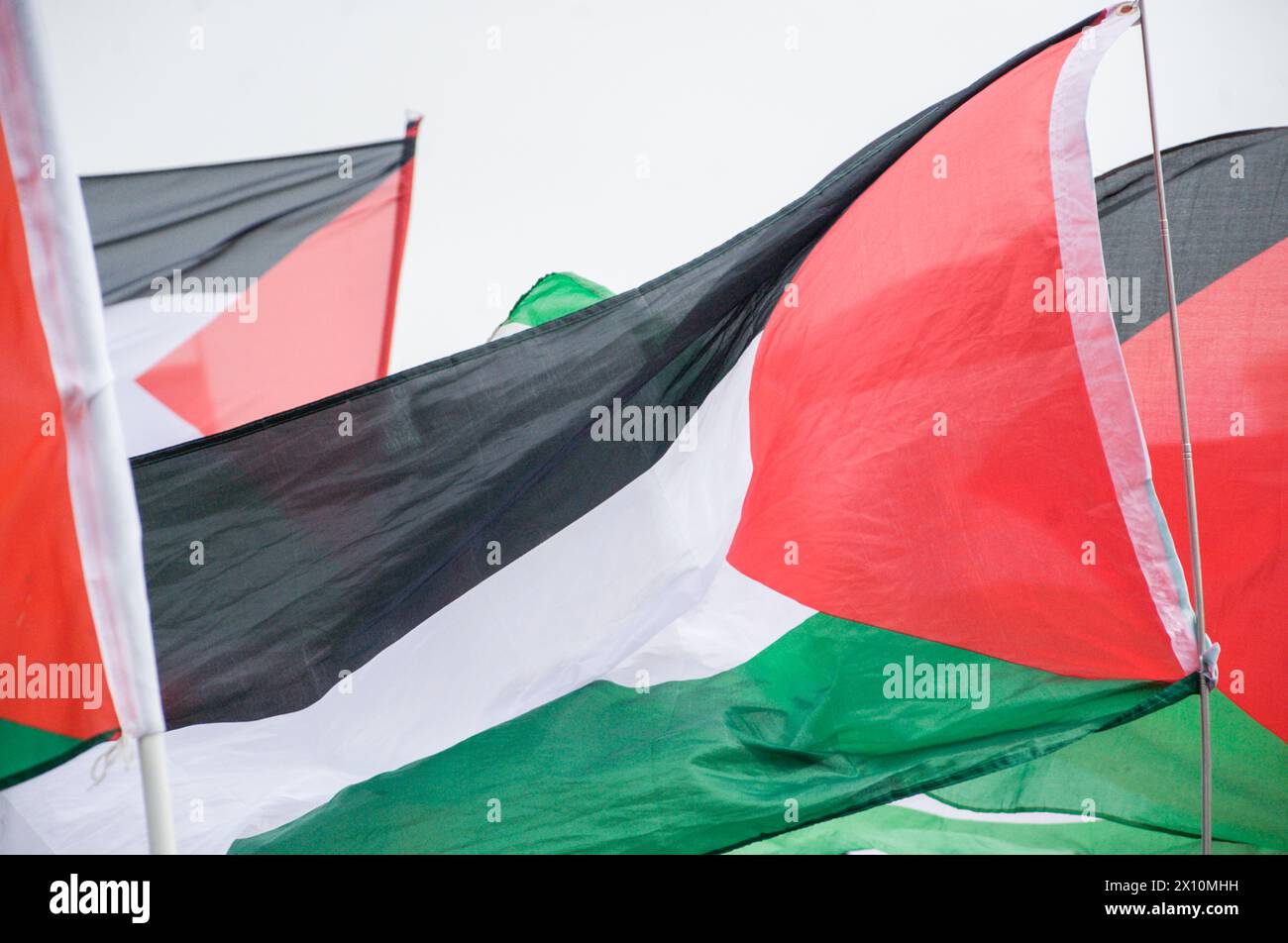 Palestine palestine flag hi-res stock photography and images - Alamy