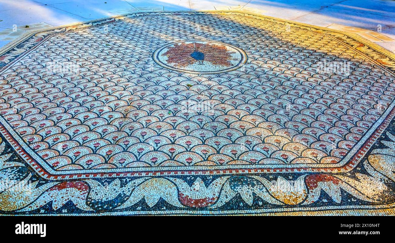 Peacock Octagon Mosaic from Church Peter's House Sea of Galilee ...