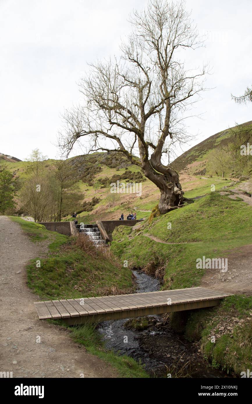 Carding Mil Valley countryside Stock Photo - Alamy