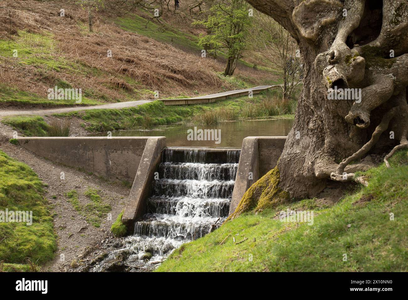 Carding Mil Valley countryside Stock Photo - Alamy
