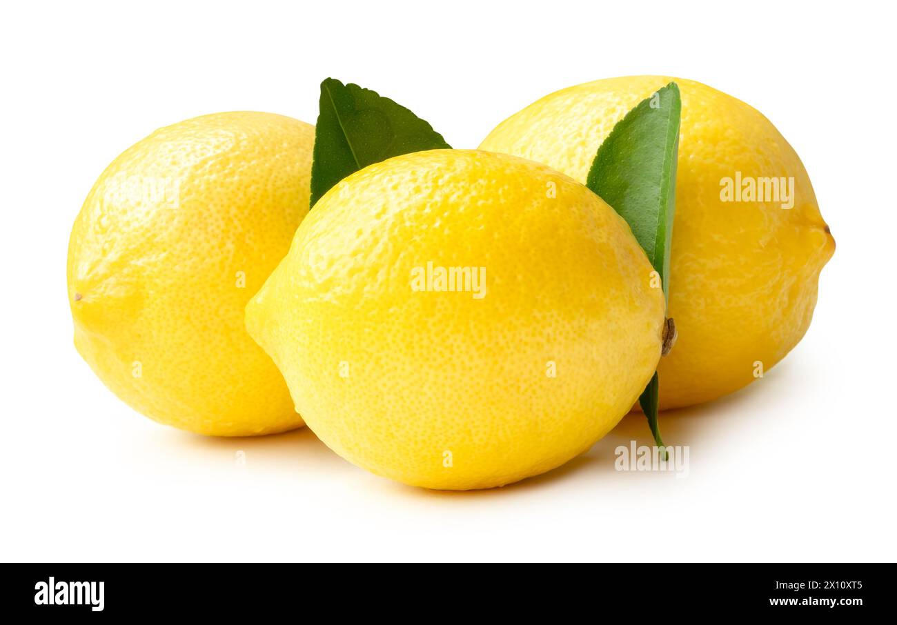 Side view of yellow lemons with green leaves in stack is isolated on ...