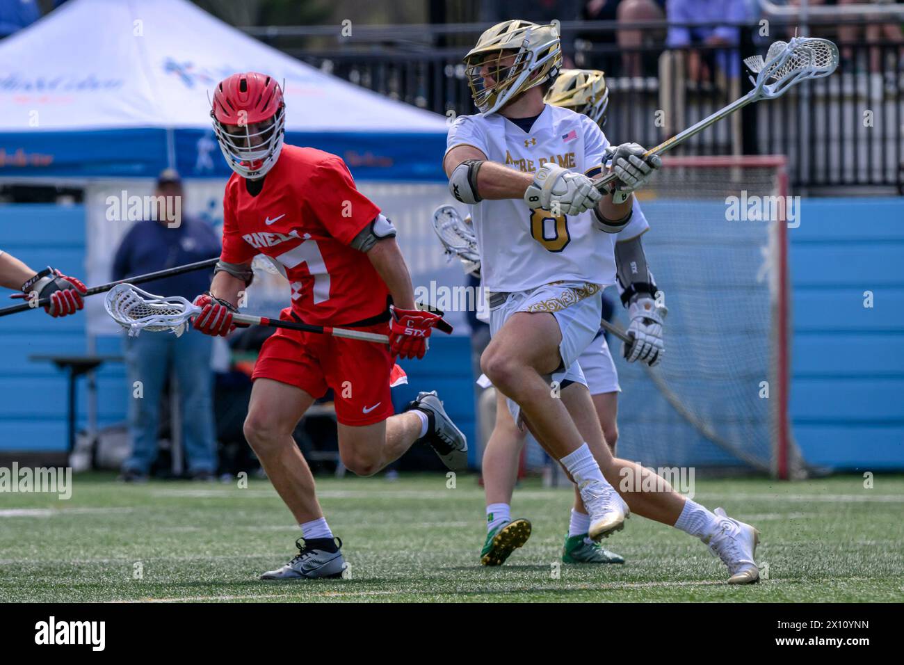 Old Westbury, New York, USA. 14th Apr, 2024. ERIC DOBSON 8 of Notre ...