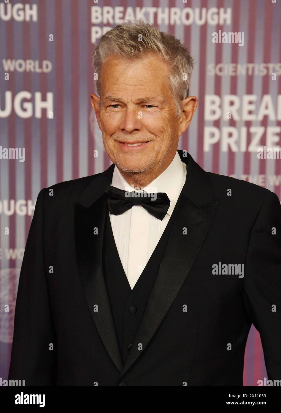 Los Angeles, California, USA. 13th Apr, 2024. David Foster attends the ...