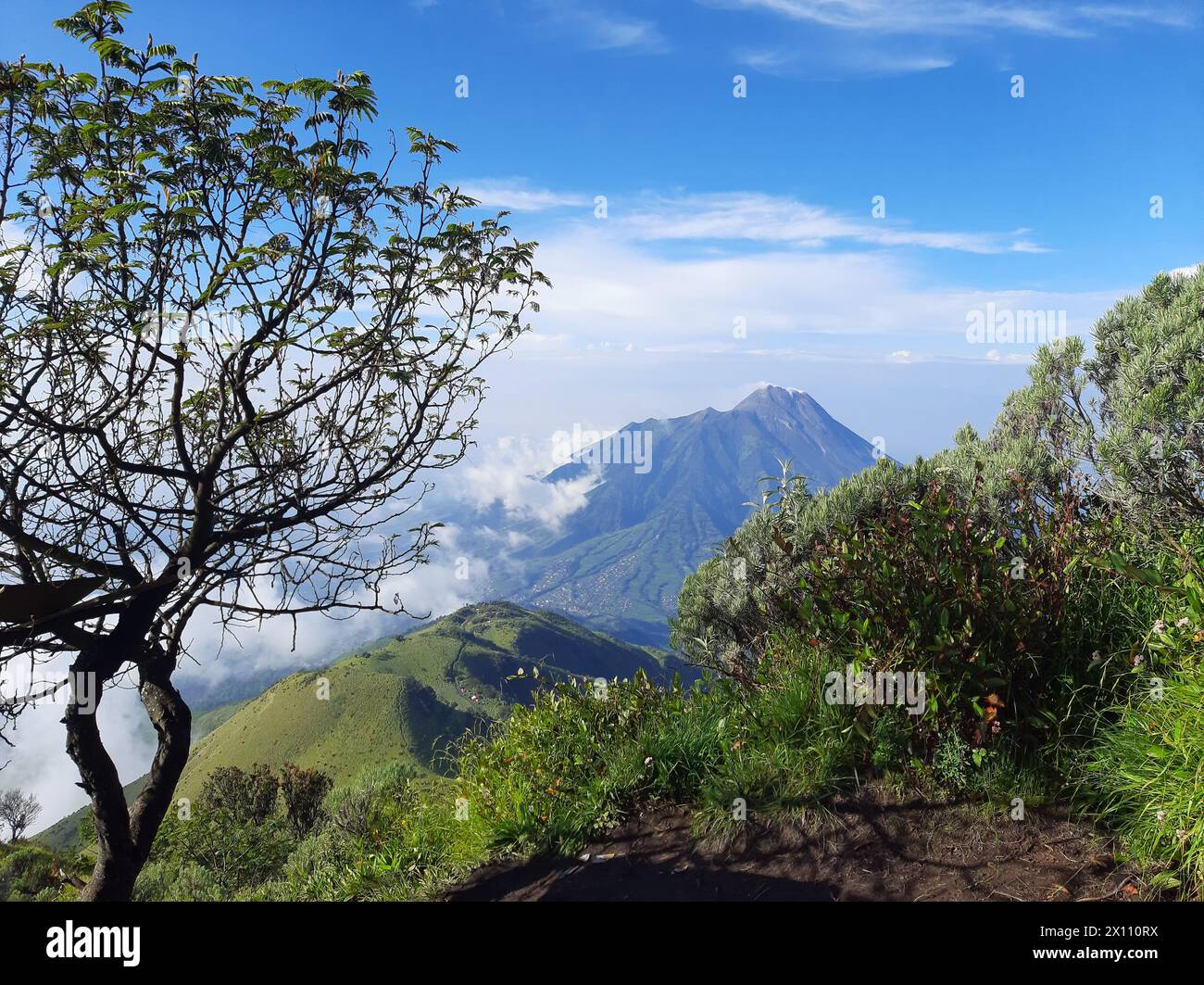the beauty of merbabu savanna and merapi mountain seen from merbabu ...