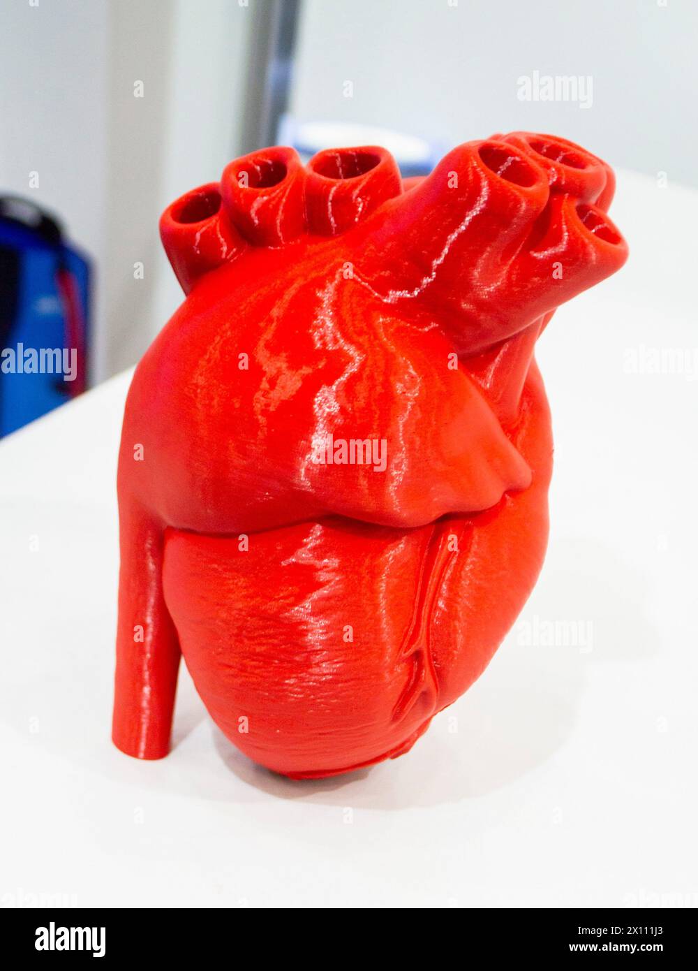 A prototype of a human heart 3D printed from molten red plastic. Model ...