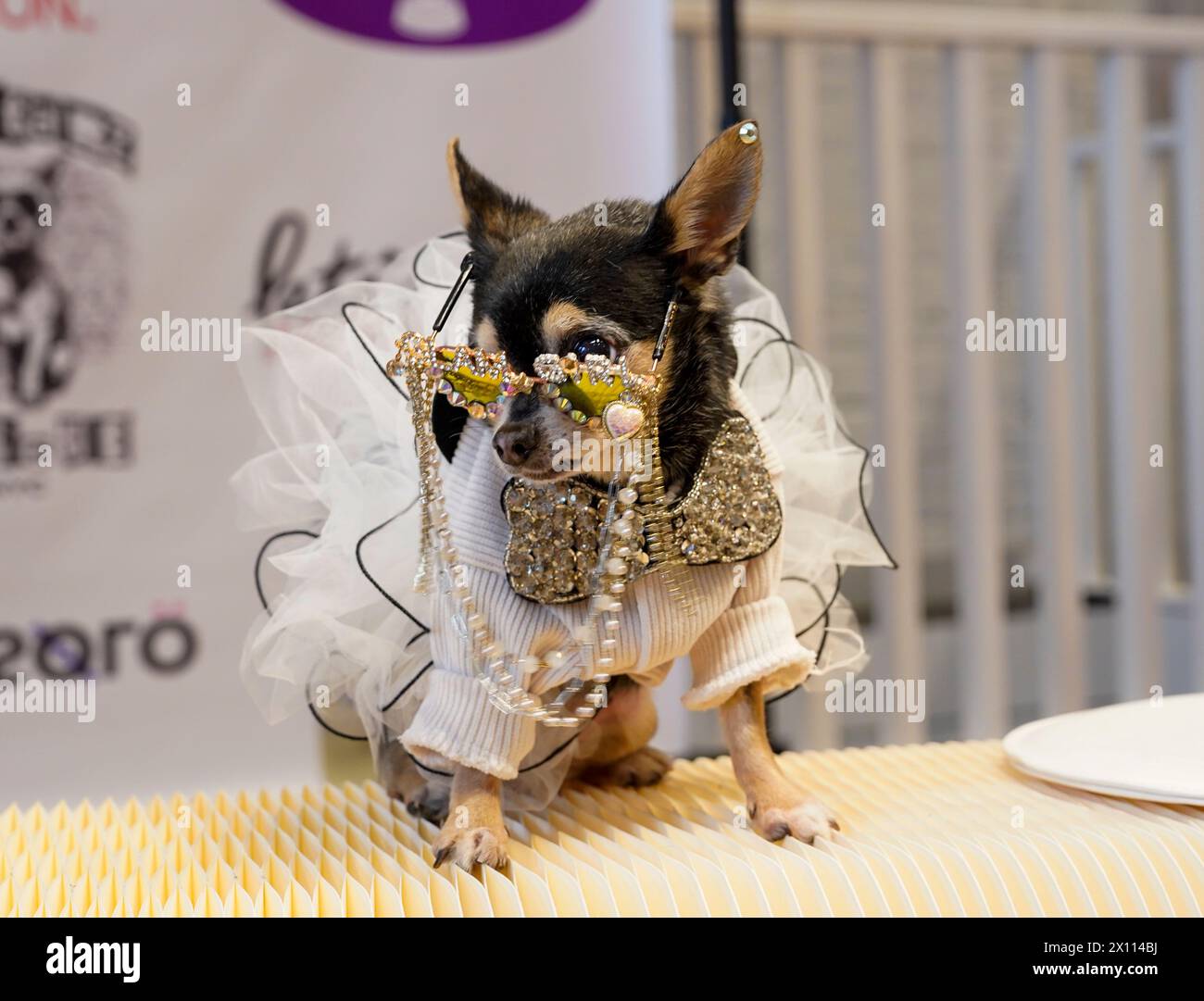 New York, United States. 14th Apr, 2024. Cinderelly212 attends the ...