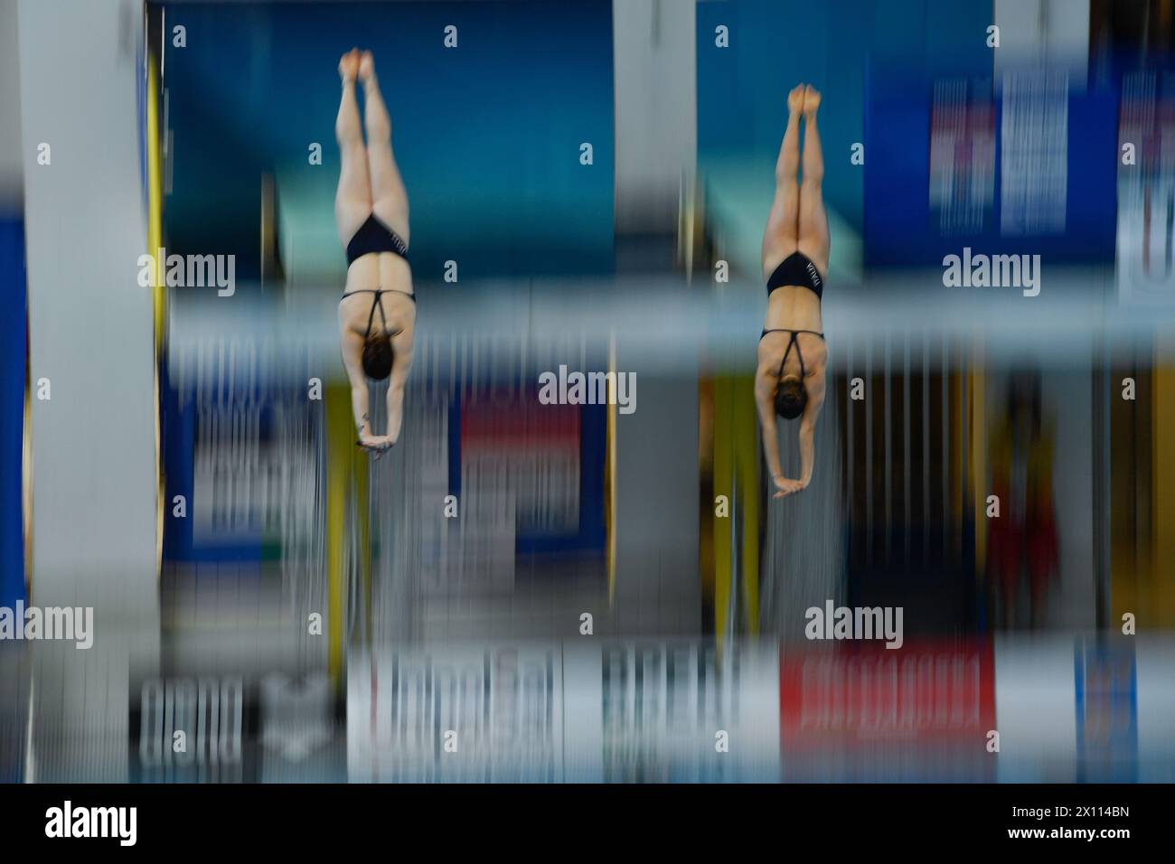 Open italian indoor diving championships hi-res stock photography and images - Alamy