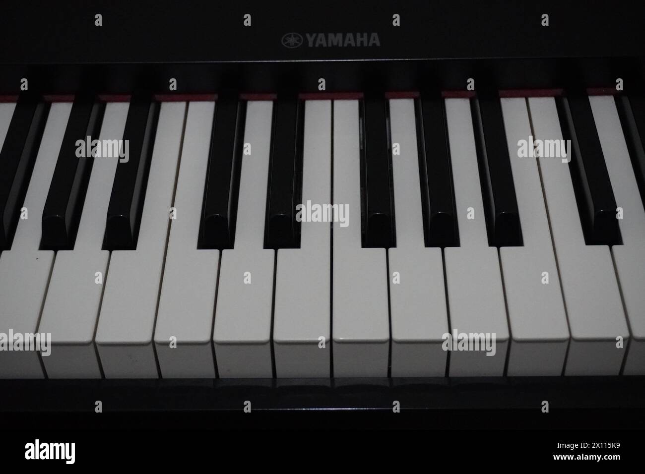 Black and white piano keys close up Stock Photo - Alamy