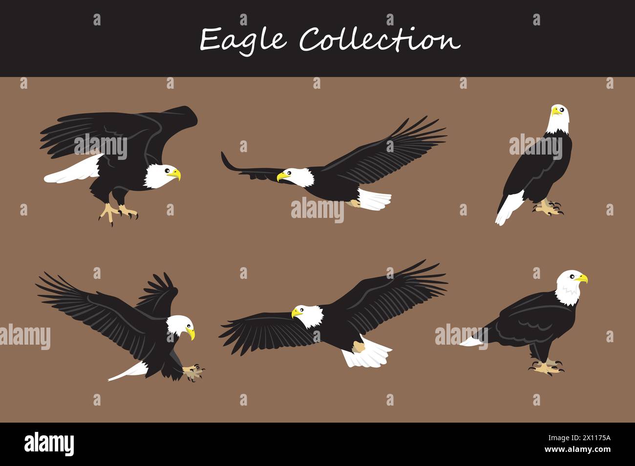 eagle collection. Vector illustration. Isolated on white background ...
