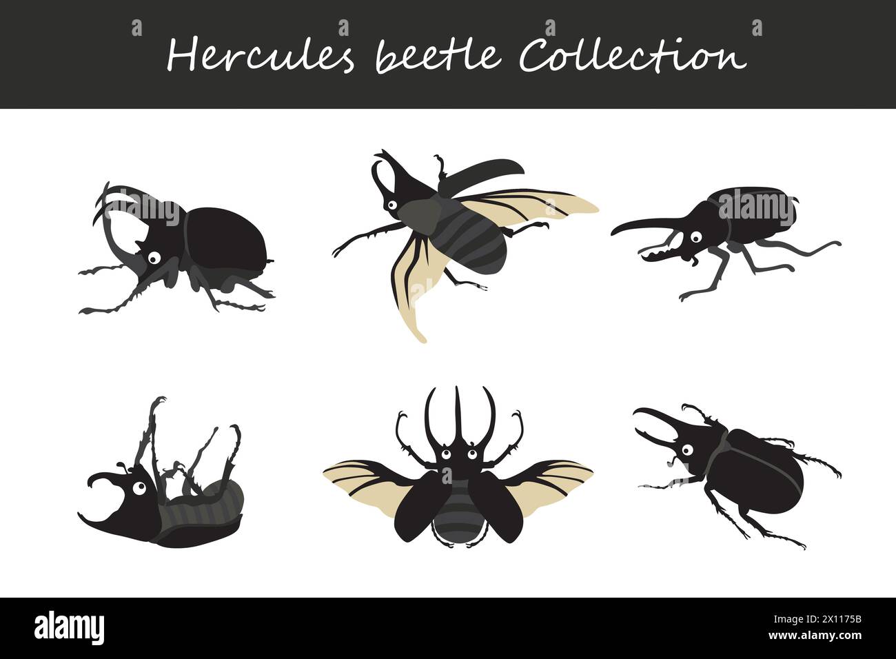 Colorado moth Stock Vector Images - Alamy