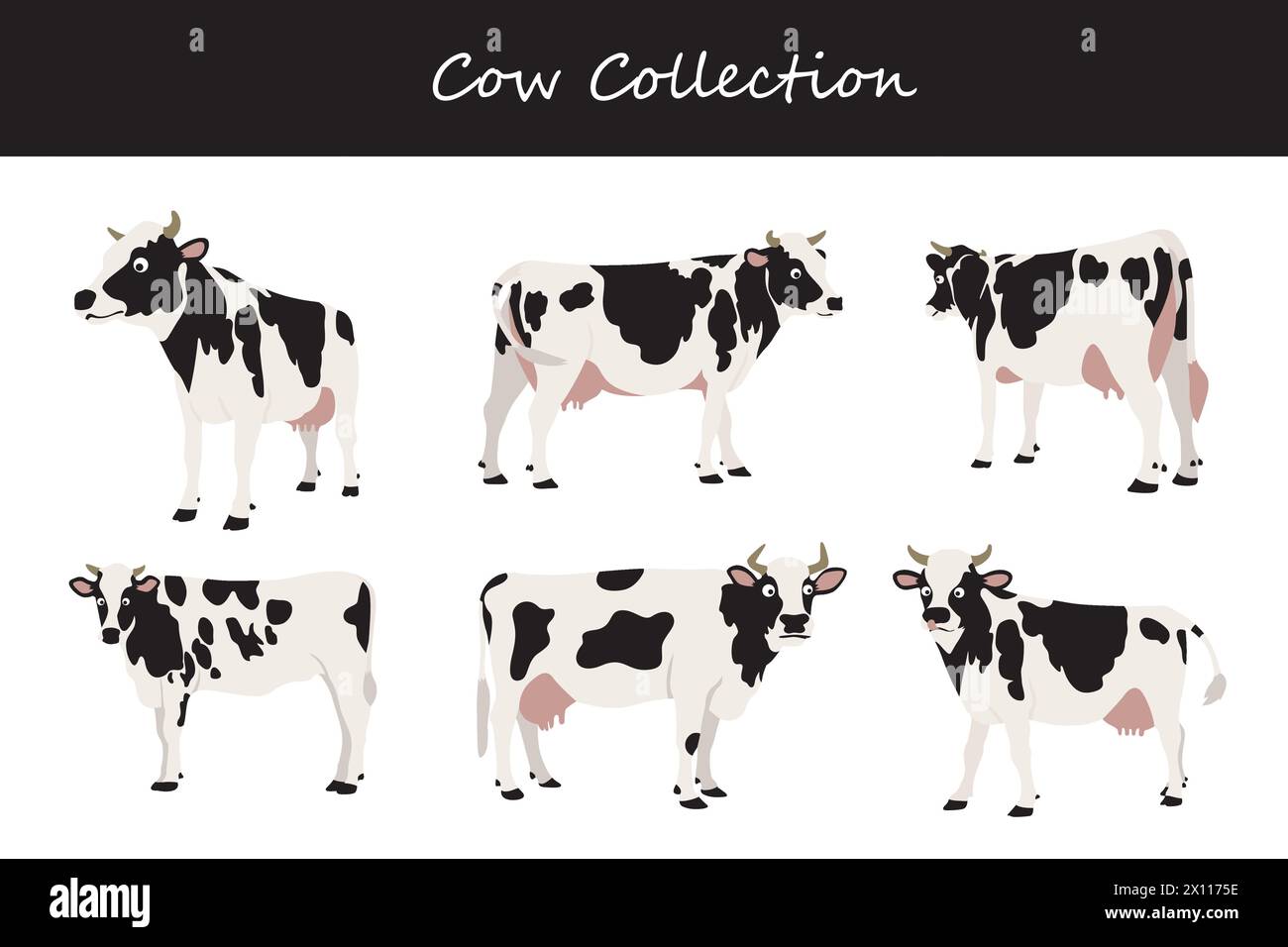 Cows collection. Cows in different poses. Vector illustration Stock ...