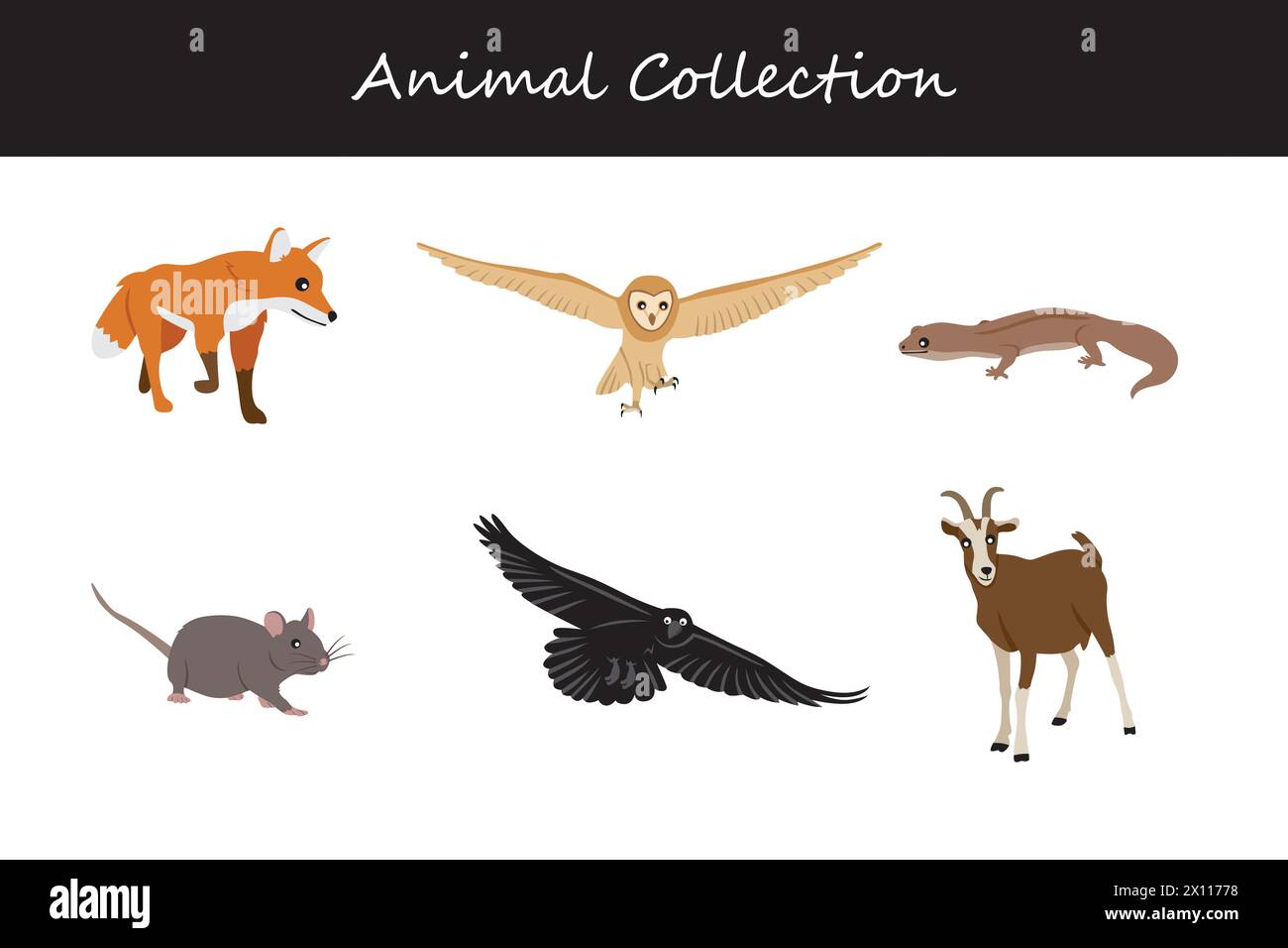 Animals collection isolated on white background. Flat style vector ...
