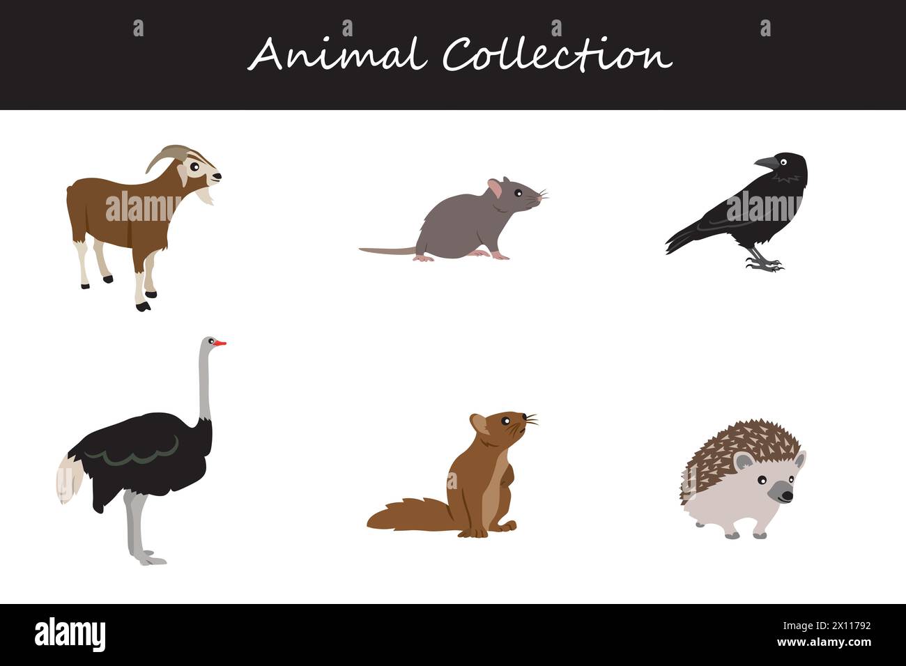 Animals collection isolated on white background. Flat style vector ...