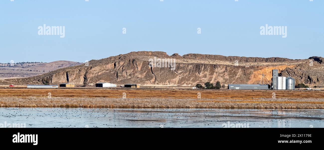 Panorama of farms and a grain elevator below the cliffs across Tule ...