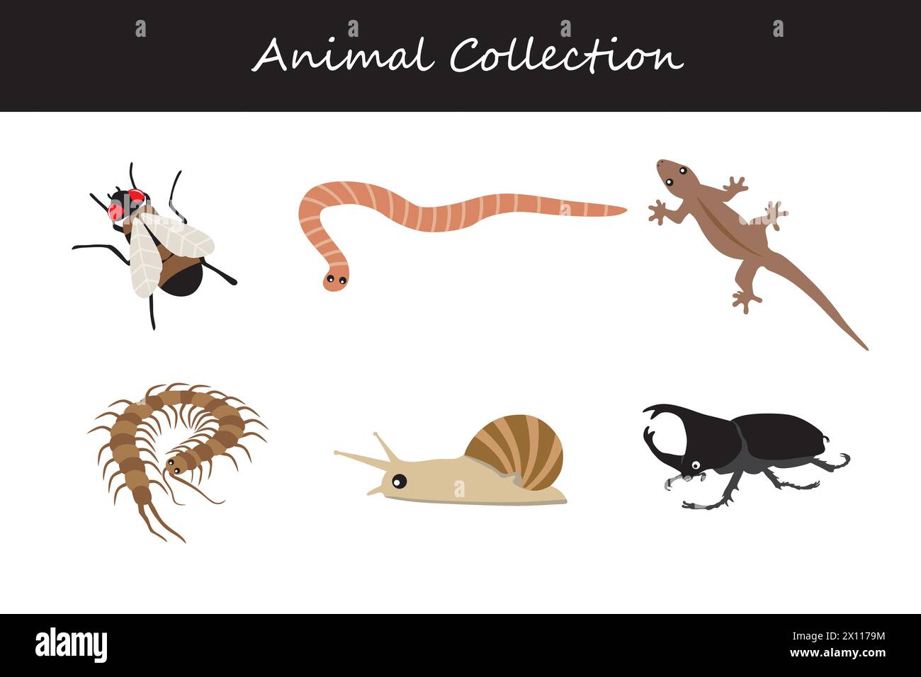 Animals collection isolated on white background. Flat style vector ...
