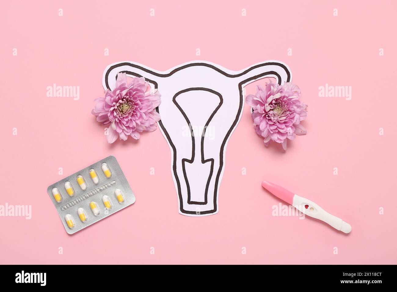 Paper uterus with chrysanthemum flowers, pregnancy test and pills on ...