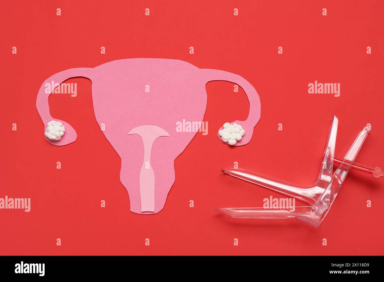 Paper uterus and gynecological speculum on red background Stock Photo ...