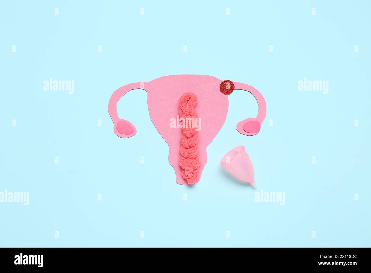 Paper uterus and menstrual cup on blue background Stock Photo - Alamy