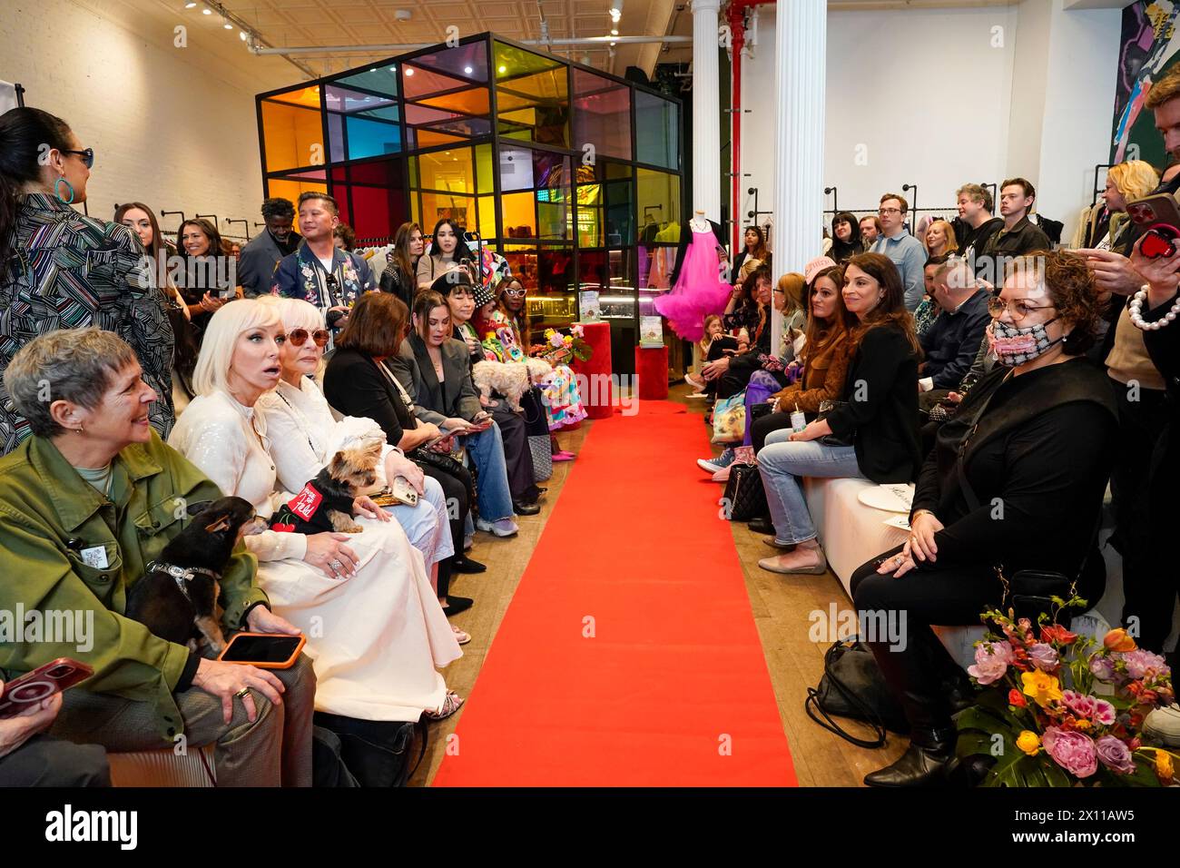 The Patricia Field X Charlie Rescue Dog Runway Show featuring dog ...