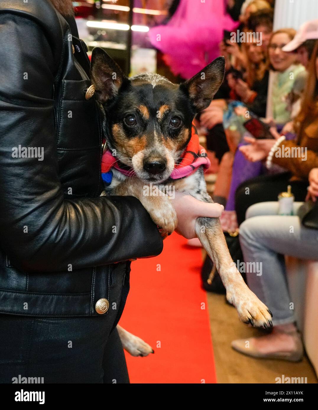 New York, United States. 14th Apr, 2024. The Patricia Field X Charlie ...