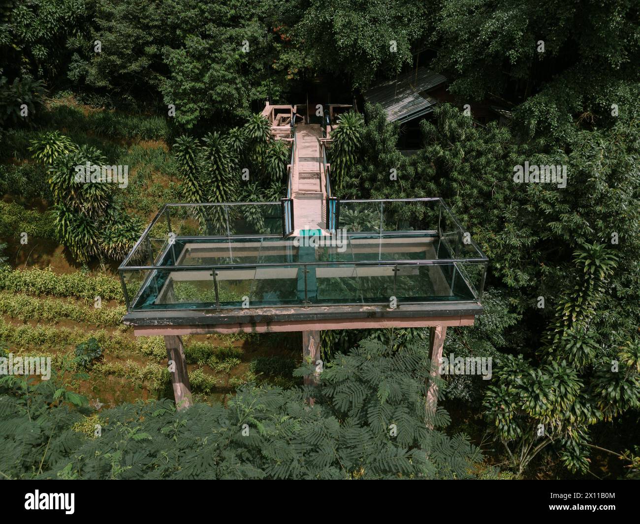 Vietnam bridge glass hi-res stock photography and images - Alamy