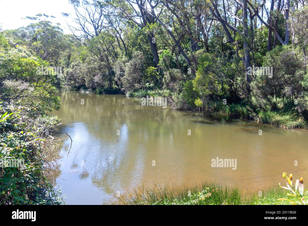 Kangaroo River at Twin Falls Lookout, Fitzroy Falls, Kangaroo Valley ...