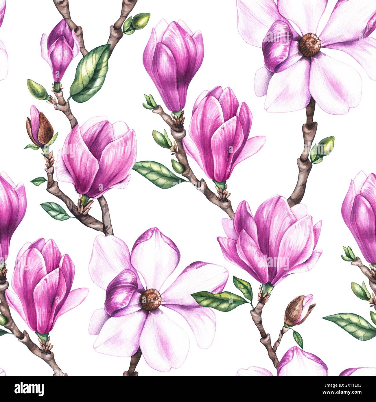 Watercolor pattern with magnolia flowers on a white background ...