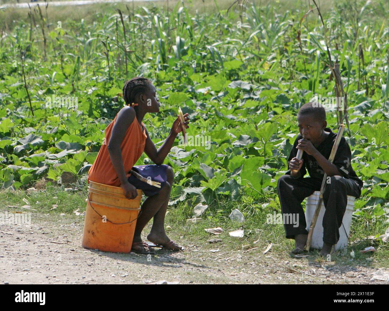 Chewing sugarcane hi-res stock photography and images - Alamy