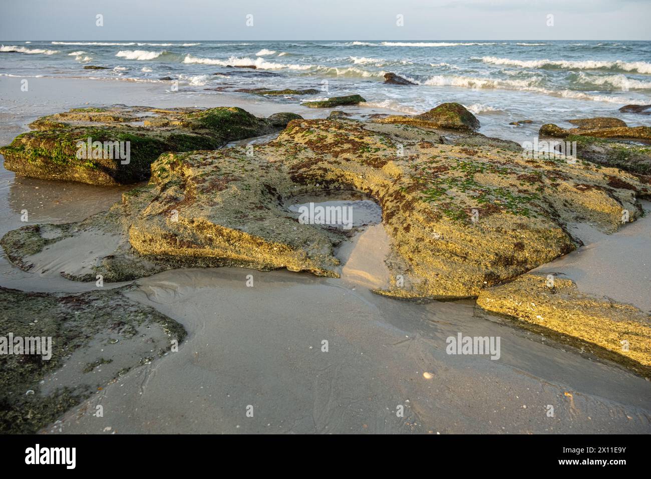 Coquina rocks algae hi-res stock photography and images - Alamy
