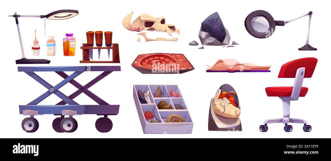 Fossil lab and paleontology cabinet elements. Cartoon vector ...