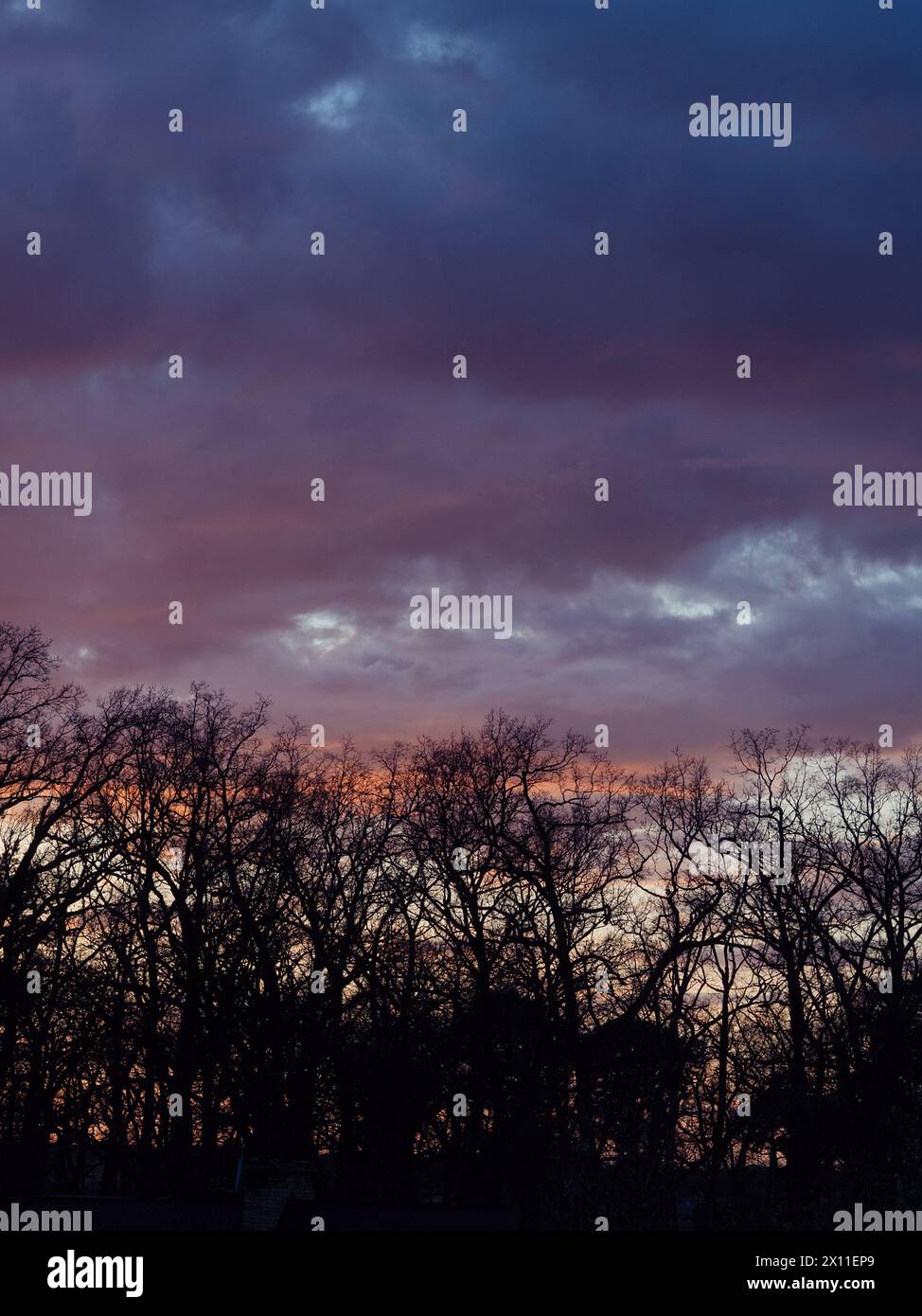 Vertical panorama in autumn oak hi-res stock photography and images - Alamy