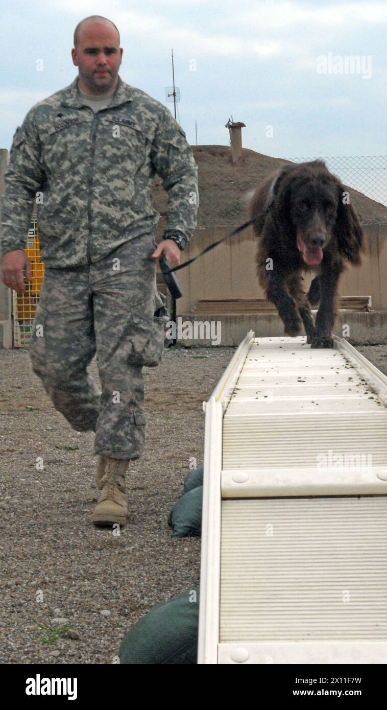 Bryan, a Specialized Search Dog for the U.S. Army and Spc. Chris ...