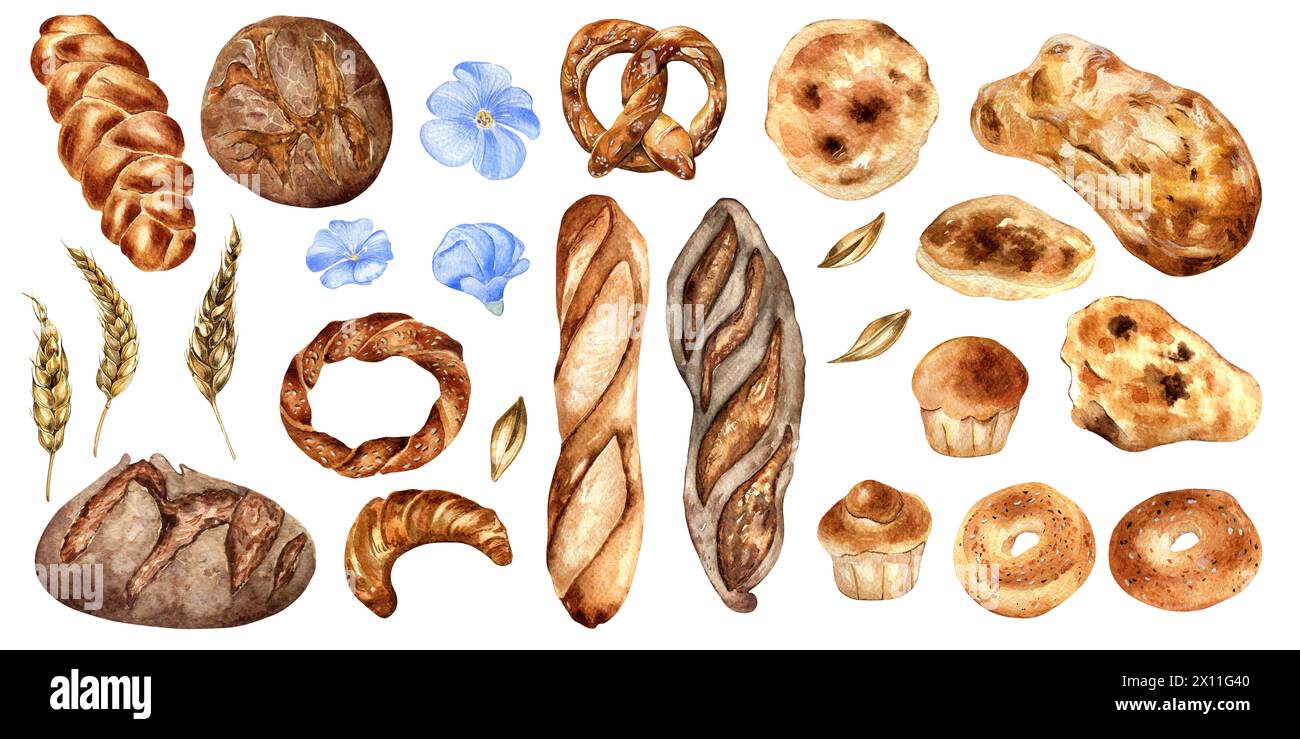 Set of different kinds bread watercolor isolated on white. Rye bread ...