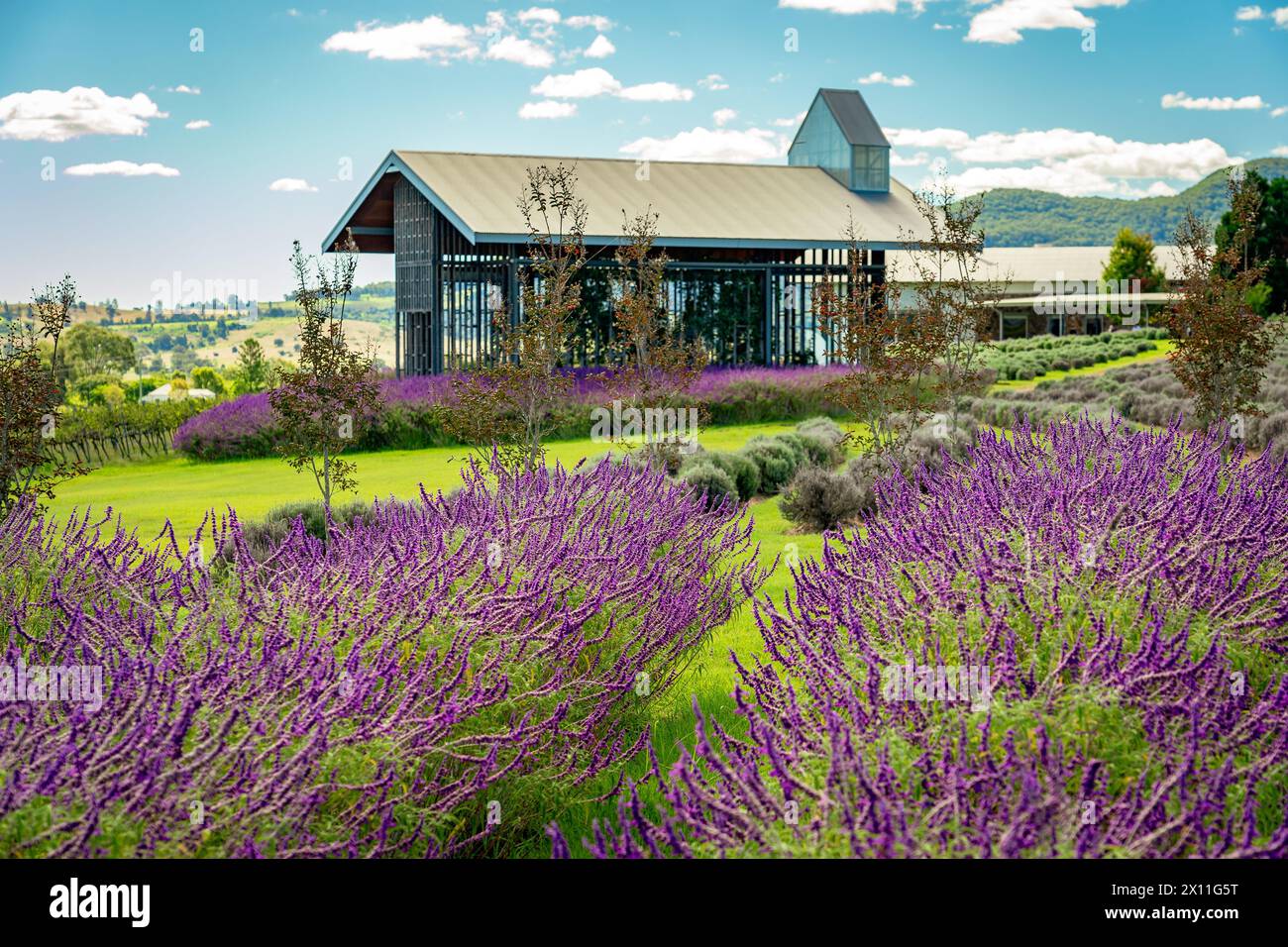 Mount Alford, Queensland, Australia - Wedding venue at the Kooroomba ...