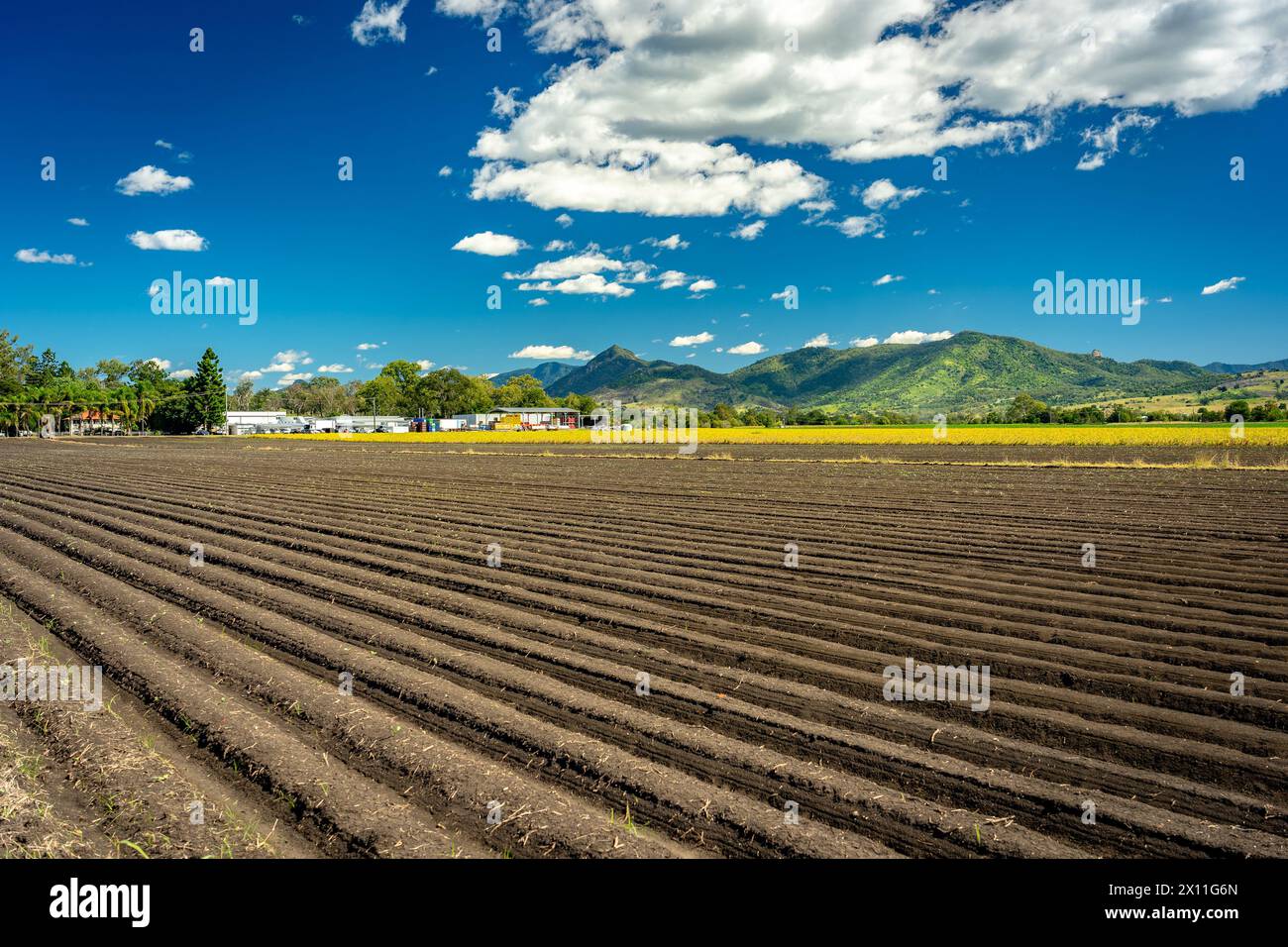 Empty ground, rows of soil before planting in rural Queensland ...