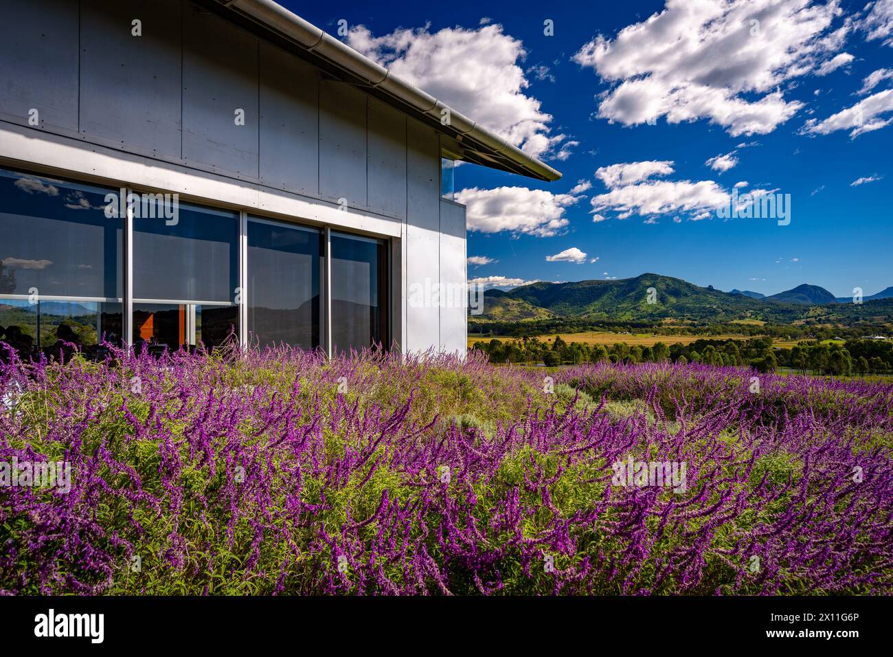Mount Alford, Queensland, Australia - Restaurant at the Kooroomba ...