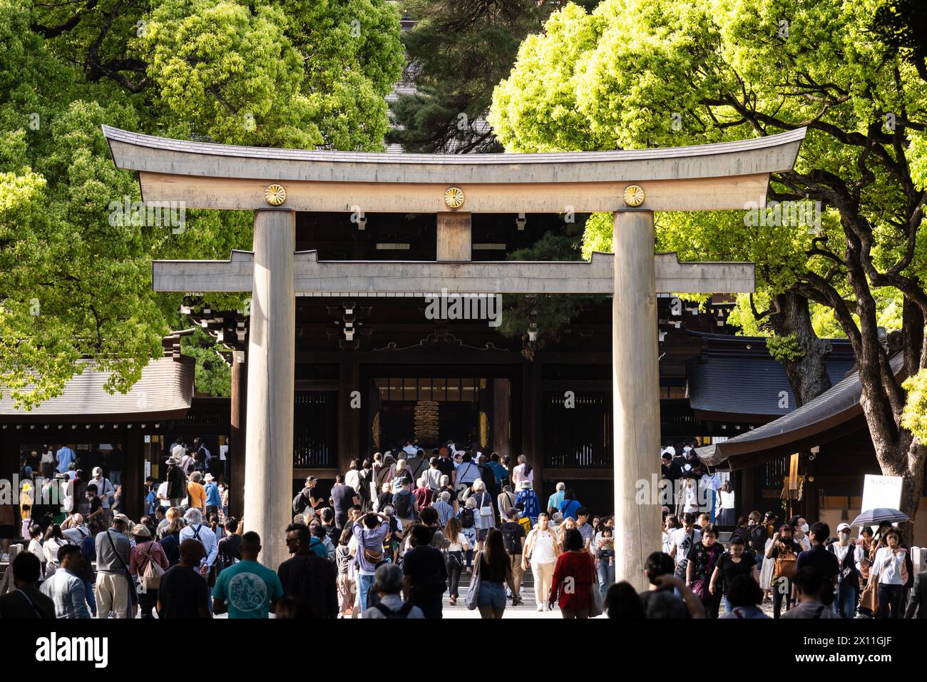 Tokyo, Japan - May 05 2023: People walk through the Tori traditional gate toward the famous ...