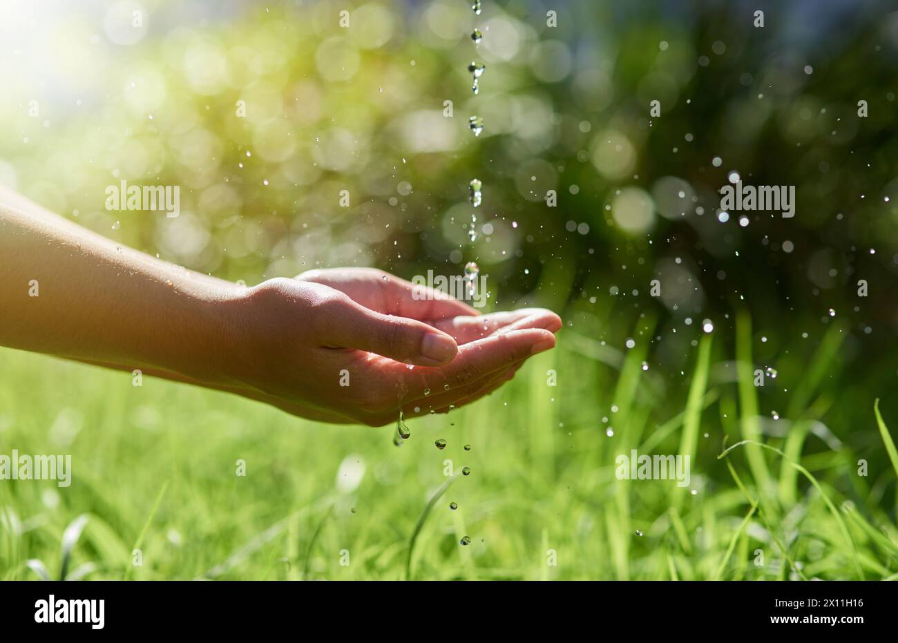 Hands, nature and water drops for eco friendly and sustainable ...