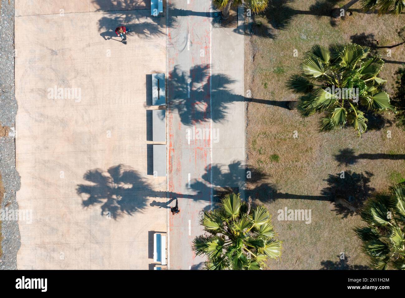 Aerial view of man driving e-scooter among tropical summer palm trees ...