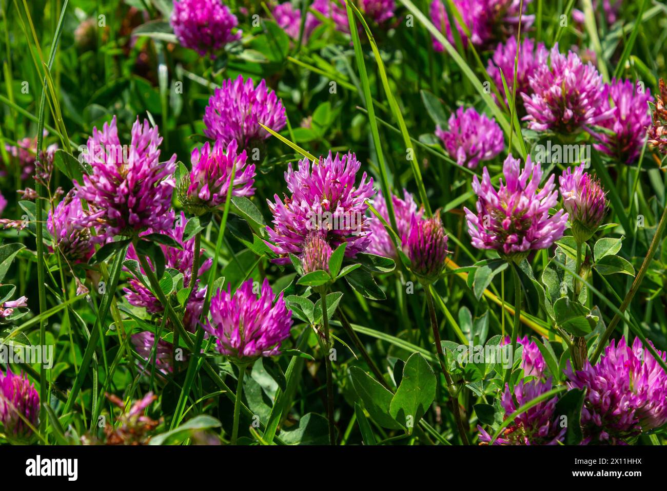 Fn symbol hi-res stock photography and images - Alamy