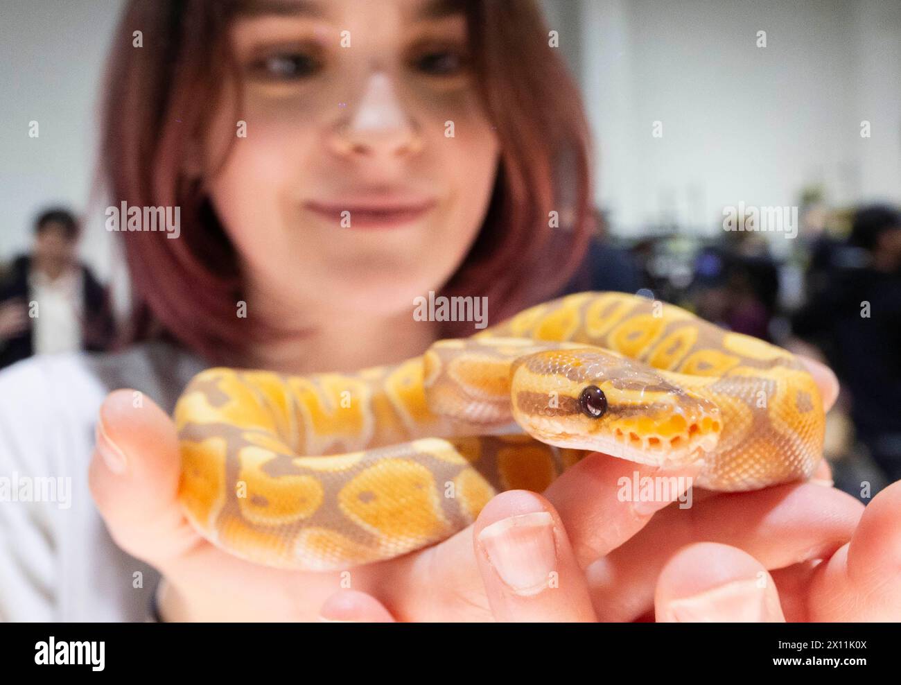 Pet expo 2024 hi-res stock photography and images - Alamy